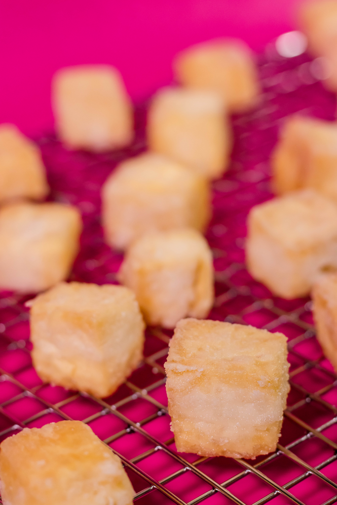 crisp-crunchy-tofu-recipe - kiyafries
